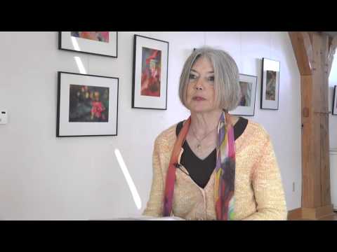 Lynn Anderson Artist Statement