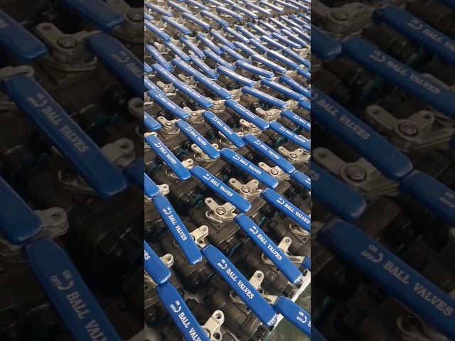 Forged Steel Valve - Forged Carbon Steel Globe Valve Manufacturer from Pune