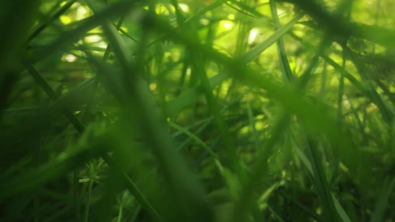 Welcome to Macro Box.