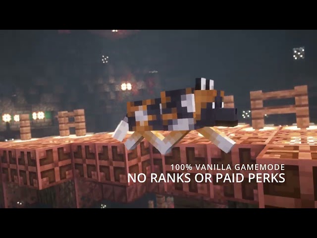 Pure Vanilla Survival Server (1.21.5 - spring to life!) 🍃 Minecraft Server