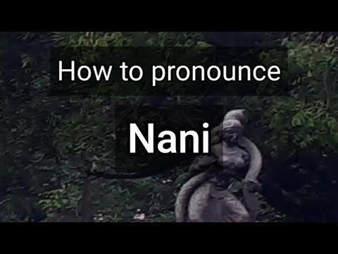 How to Pronounce Nani
