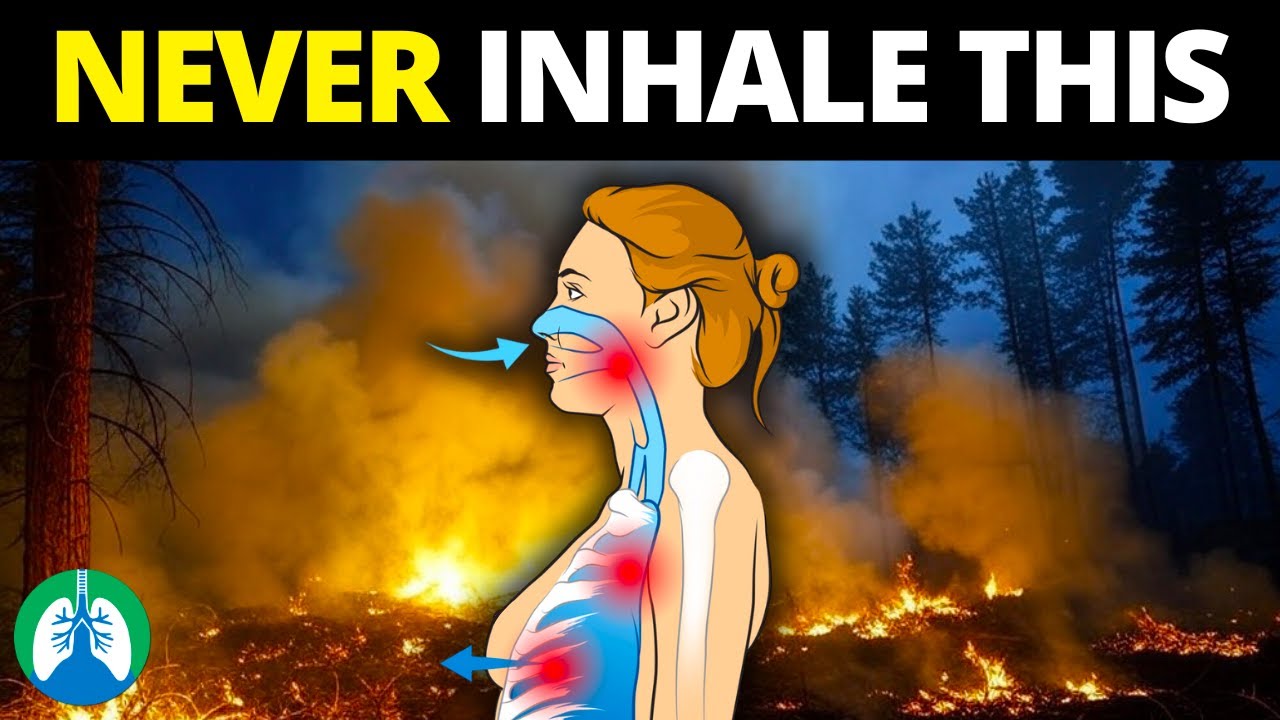 Never Inhale Wildfire Smoke... HERE'S WHY