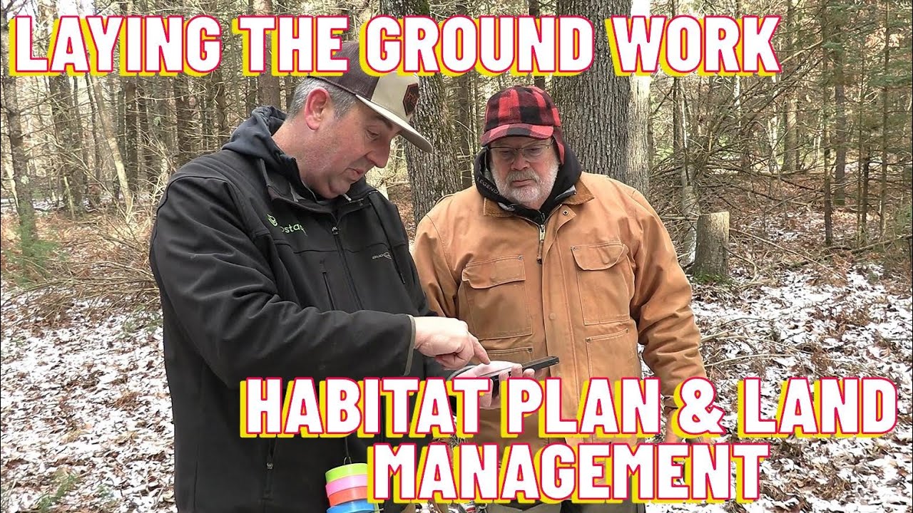IMPROVING HUNTING PROPERTY | THE START OF OUR HABITAT PLAN & LAND MANAGEMENT IN NORTHERN MICHIGAN