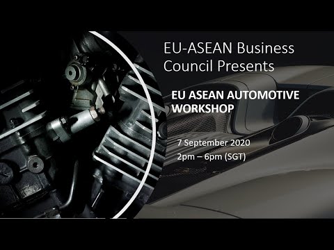 Road & Vehicle Safety: An Integrated Approach