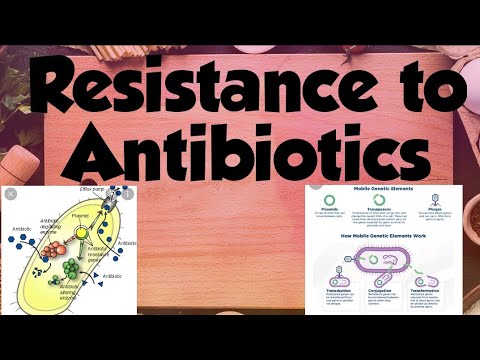 Antimicrobial Drug Resistance