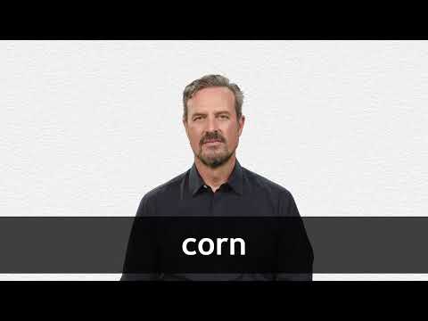 CORN 释义 | 柯林斯英语词典