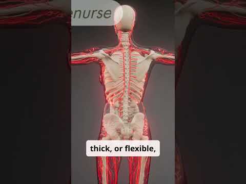 How to know if your hymen has broken
