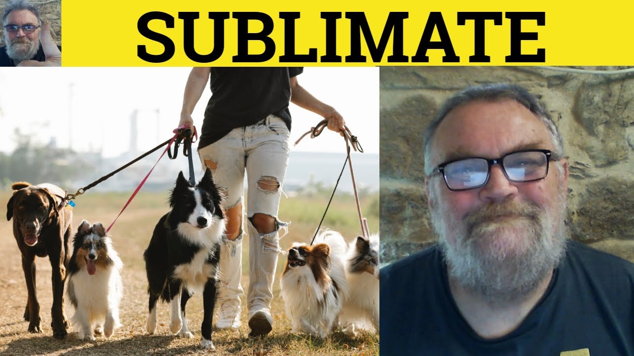 🔵 Sublimate Meaning - Sublimation Examples - Define Sublimate - Psychology - Sublimate