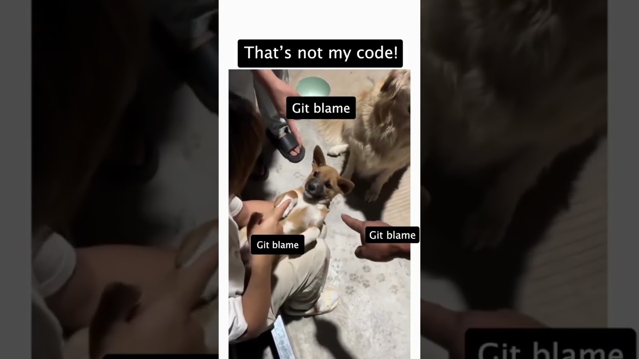 When git blame exposes your coding mistake #coding #programming #python #javascript