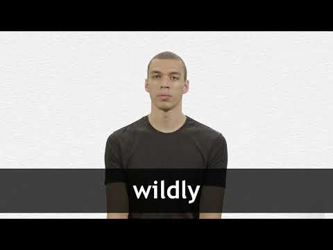WILDLY definition and meaning | Collins English Dictionary