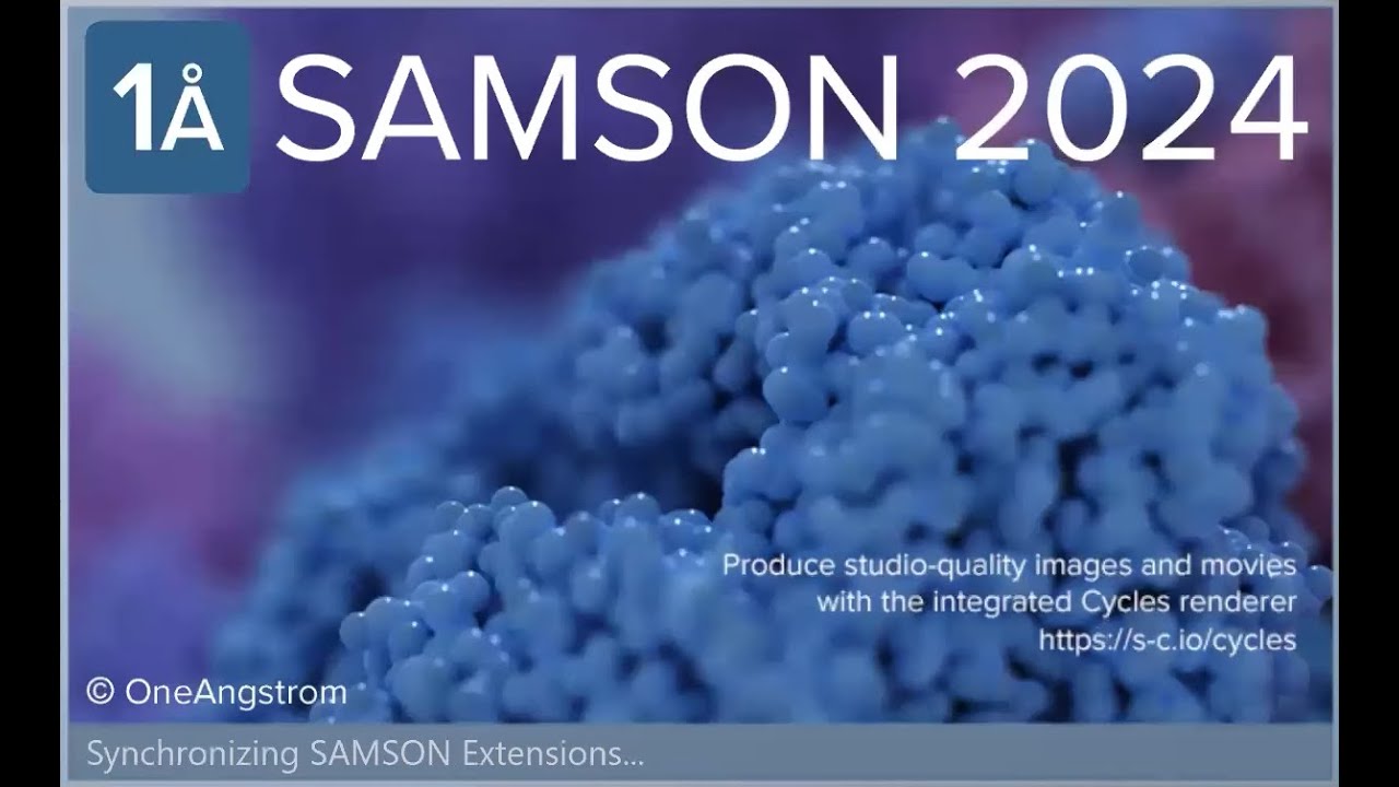 Introducing SAMSON 2024