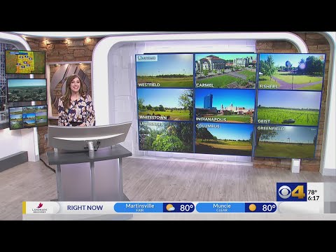 Sunshine and comfy weather for Father's Day Weekend