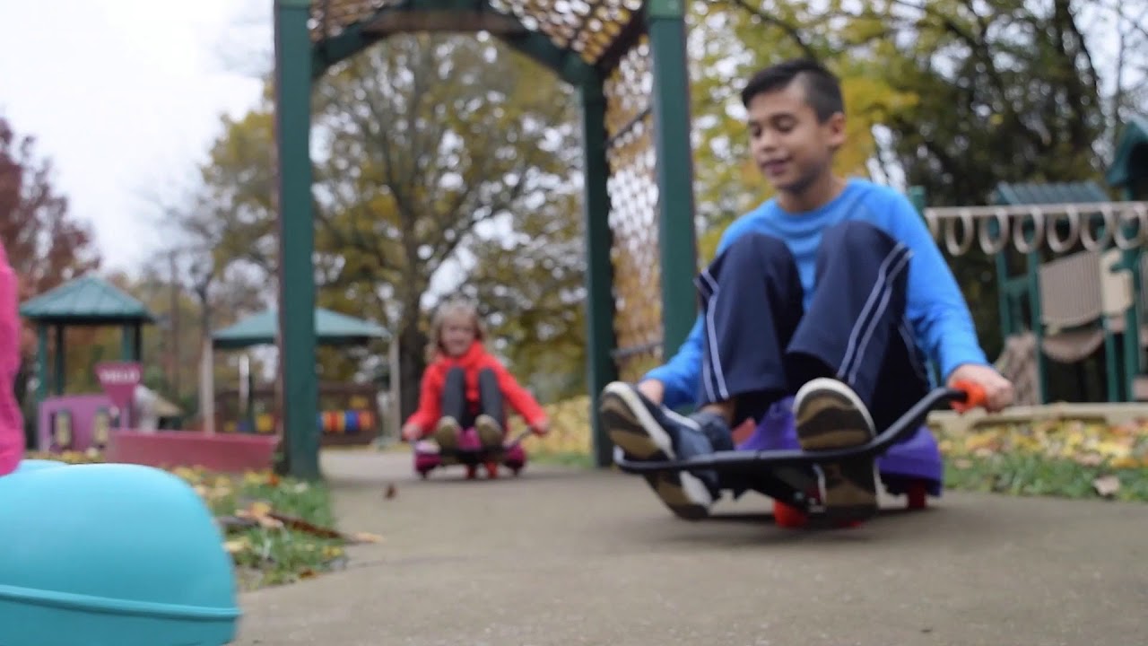 The Original Flying Turtle ~ now in 4 Colors