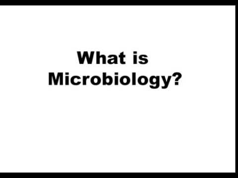 What Is Microbiology?