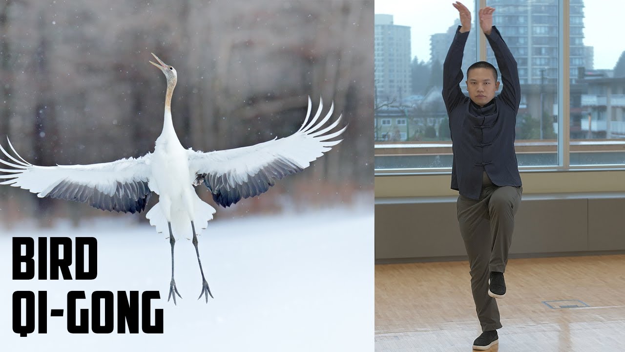 The Five Animals Qi Gong – Exercises that Strengthen Your Mind and Body