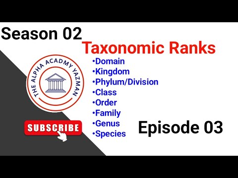 Taxonomic Ranks Of Classification Class 9 | Episode No 03 | Season No 02 | New Syllabus 2025-26