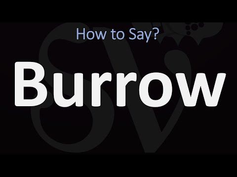 How to Pronounce Burrow? (CORRECTLY)