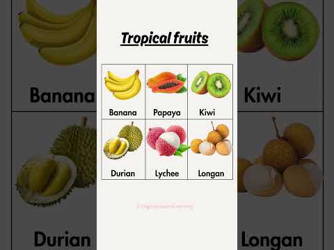Tropical Fruits ✅✍️✨#english #educationalvideo #grammer #englishgrammar #education