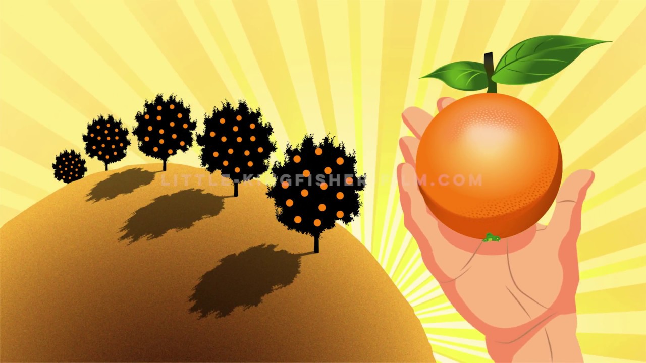 ORANGE JUICE CONCENTRATE - HOW IT'S MADE (ANIMATION) | STOCK FOOTAGE