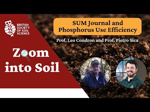 Zoom into Soil: Soil Use and Management Journal and Phosphorus Use Efficiency