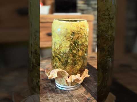 Honey Fermented Ginger! Gut health, immune boosting, medical powerhouse. Recipe in description.