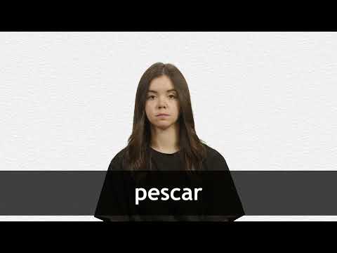 English Translation of “PESCAR” | Collins Spanish-English Dictionary