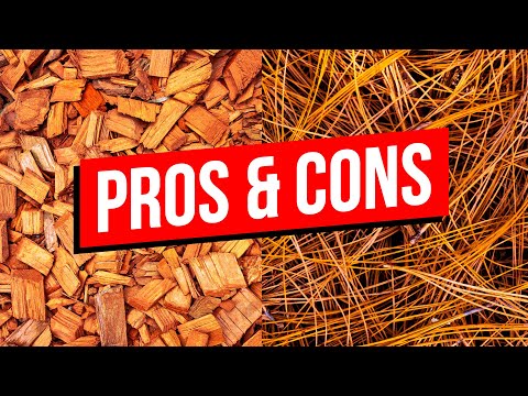 Mulch vs Pine Straw for Flower Beds (My Thoughts)