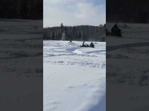 Sidewinder playing around
