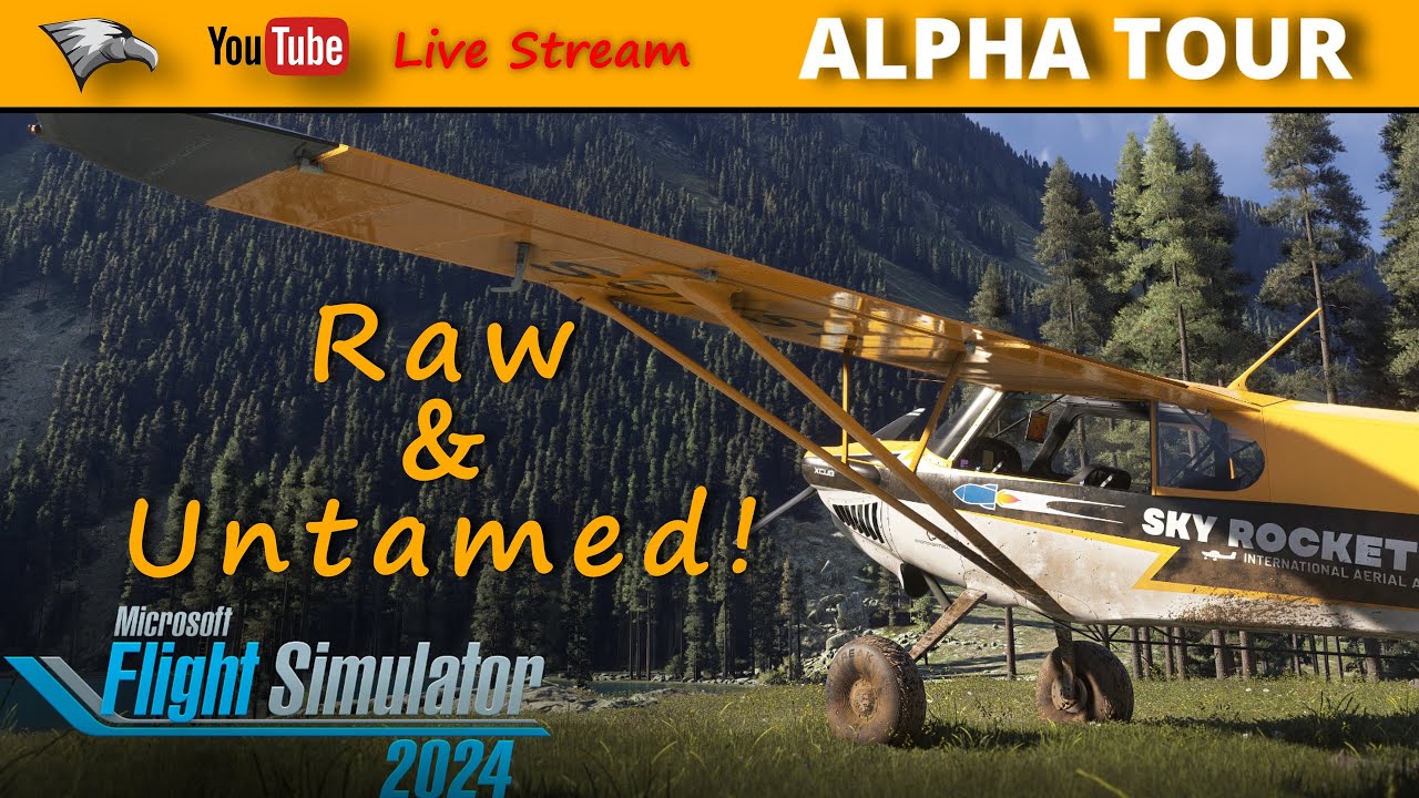 MSFS 2024 - Walk Through Settings & Options