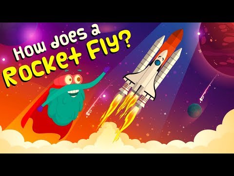 How Does A ROCKET FLY | How Do Rockets Work | ROCKET LAUNCH | The Dr Binocs Show | Peekaboo Kidz