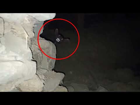 Mythical creature chupacabra in the abandoned attacked the operator