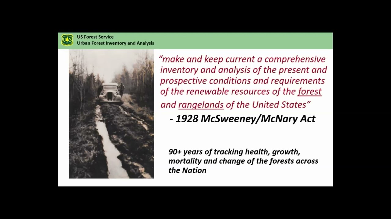 Café: Urban Forest Inventory and Analysis (September 2022)