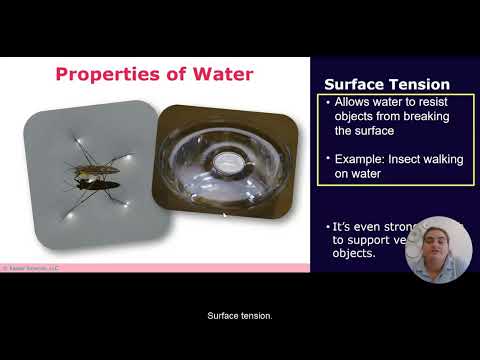 U1L2: Properties of Water