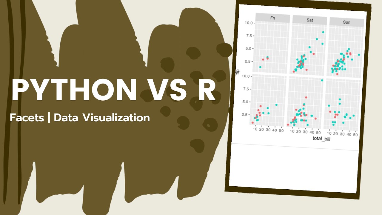 Python vs R - Facets | Side by Side Comparison | Data Visualization