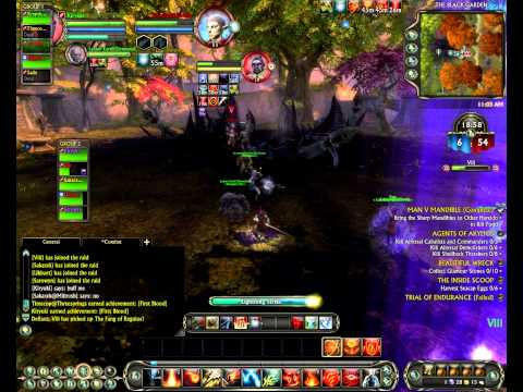 Steam Community :: Video :: Rift - PvP Pyromancer