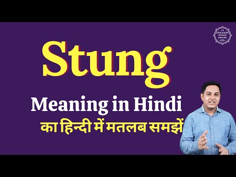 Stung meaning in Hindi | Stung ka matlab kya hota hai