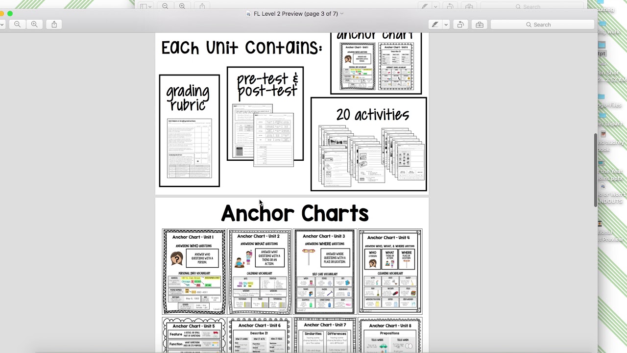 Functional Literacy Level 2 Product Preview