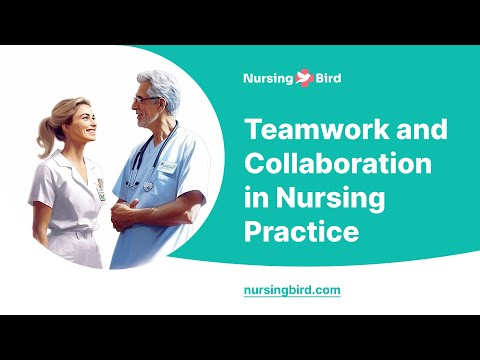 Teamwork and Collaboration in Nursing Practice - Essay Example