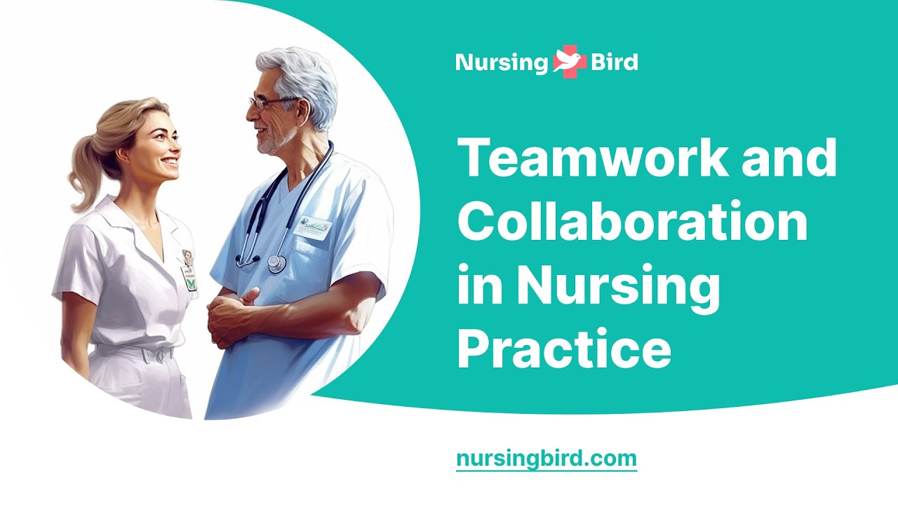 Teamwork and Collaboration in Nursing Practice - Essay Example