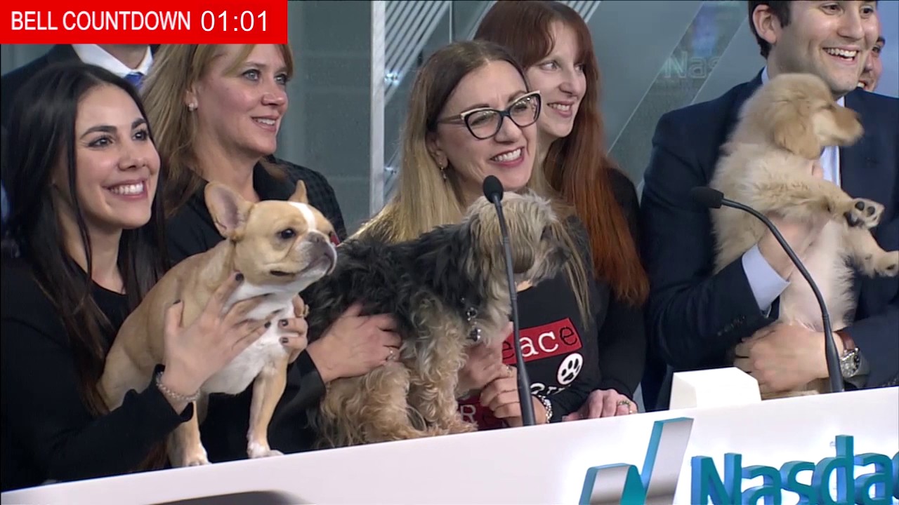 AmsterDog Rescue Rings The Nasdaq Stock Market Opening Bell