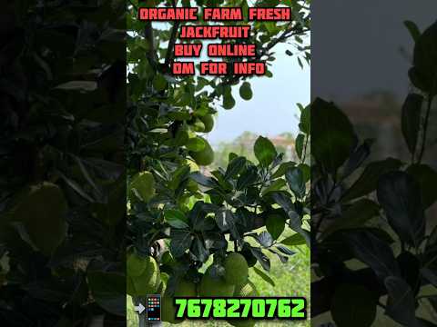 Farm Fresh Fruits| Organic products available| Chemical free|Natural