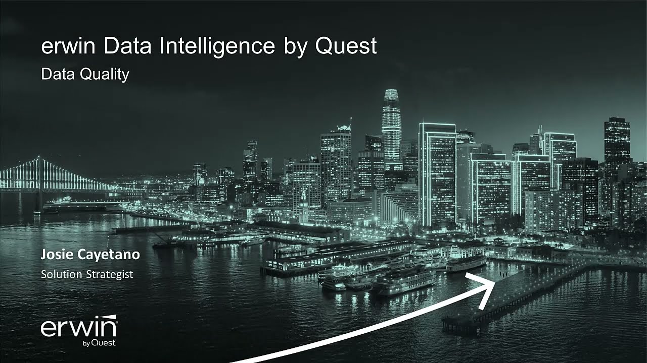 erwin Data Intelligence Data Quality