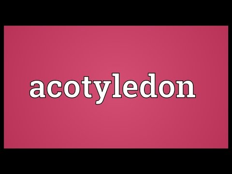 Acotyledon Meaning