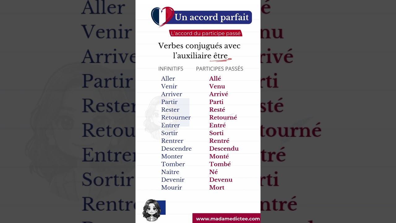 🎯 Les verbes conjugués avec l'auxiliaire 