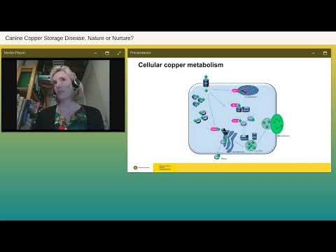 Canine Copper Storage Disease, Nature or Nurture? - Canine Health Summit 2022 - Embark for Breeders