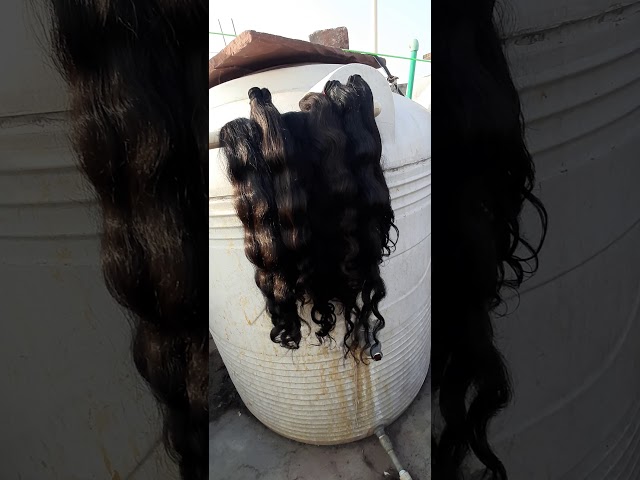 Steam Curly Human Hair - Loose Curly Hair Manufacturer from New Delhi