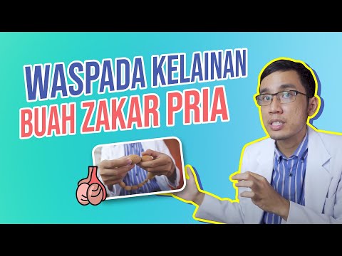 Mengenal Testis Pria Sehat