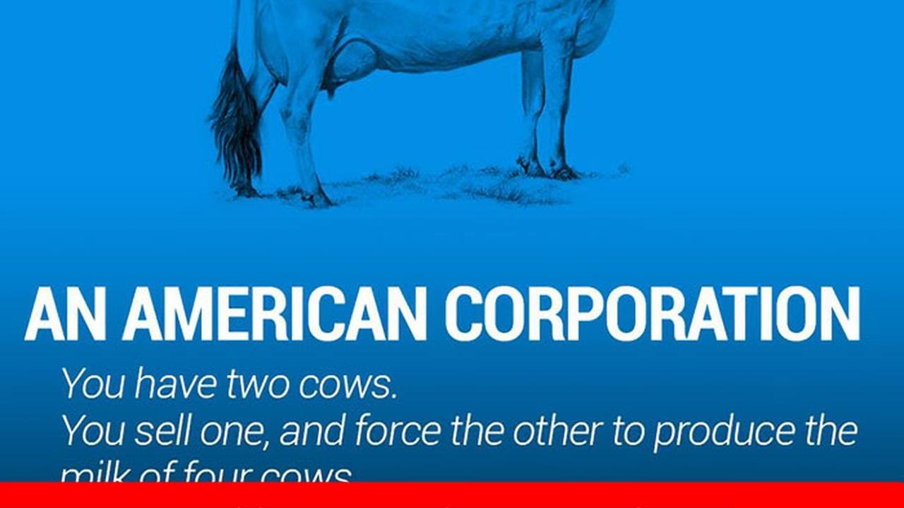Two Cows Explain Economics Better Than Any Class 😂