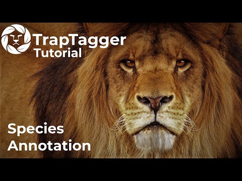 TrapTagger: Species Annotation