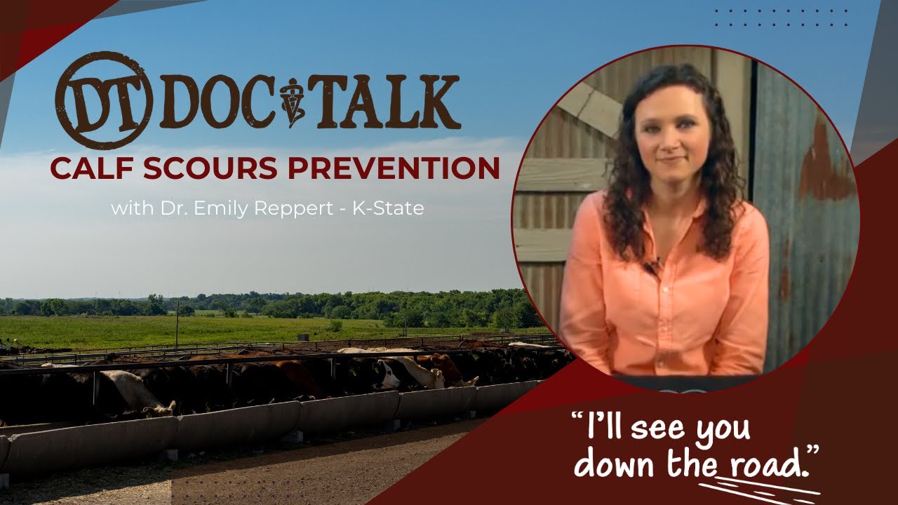 DocTalk Ep 148 - Calf Scours Prevention